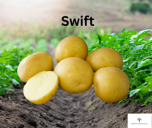 Swift - Certified Seed Potatoes | NZ Lifestyle Group