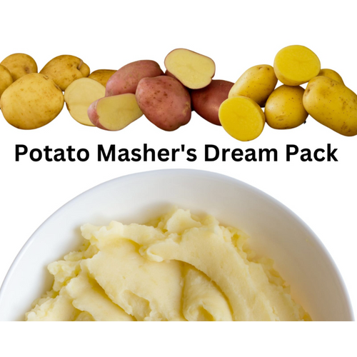 Potato Masher’s Dream Pack - Certified Seed Potatoes (6 per pack) | NZ ...