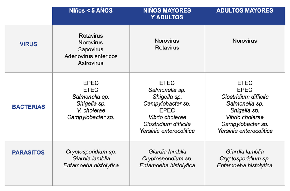 Gastroenteritis Aguda