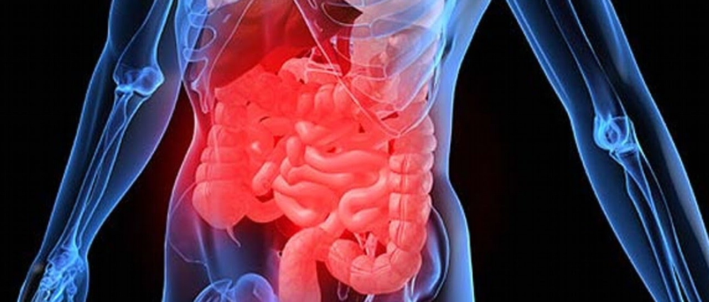 Gastroenteritis Aguda