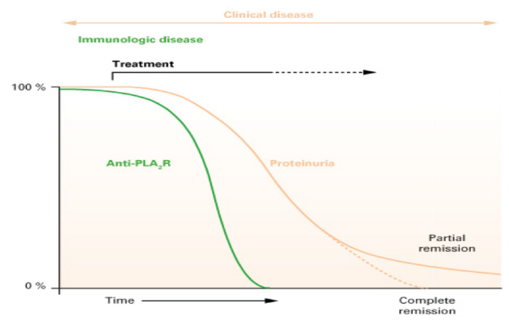 ANTICUERPOS ANTI-PLA2R u00 (PLA2R-AC IgG)