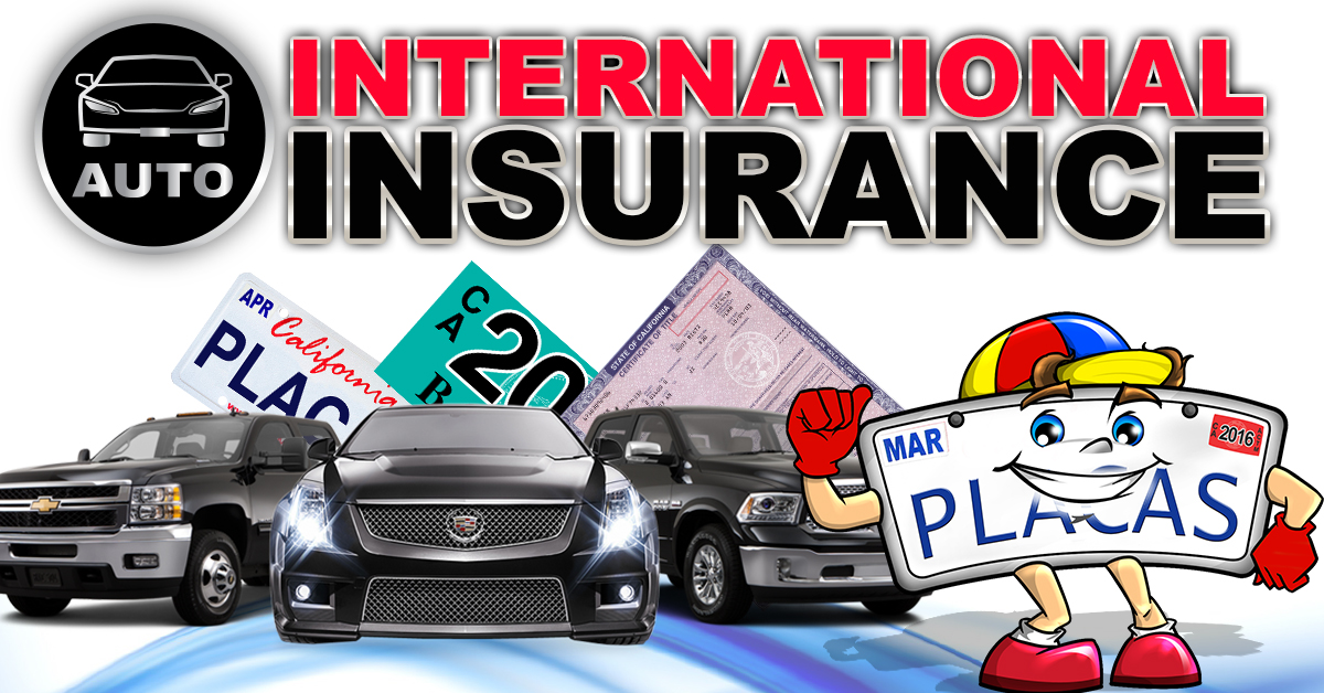 Auto International Insurance The DMV Alternati