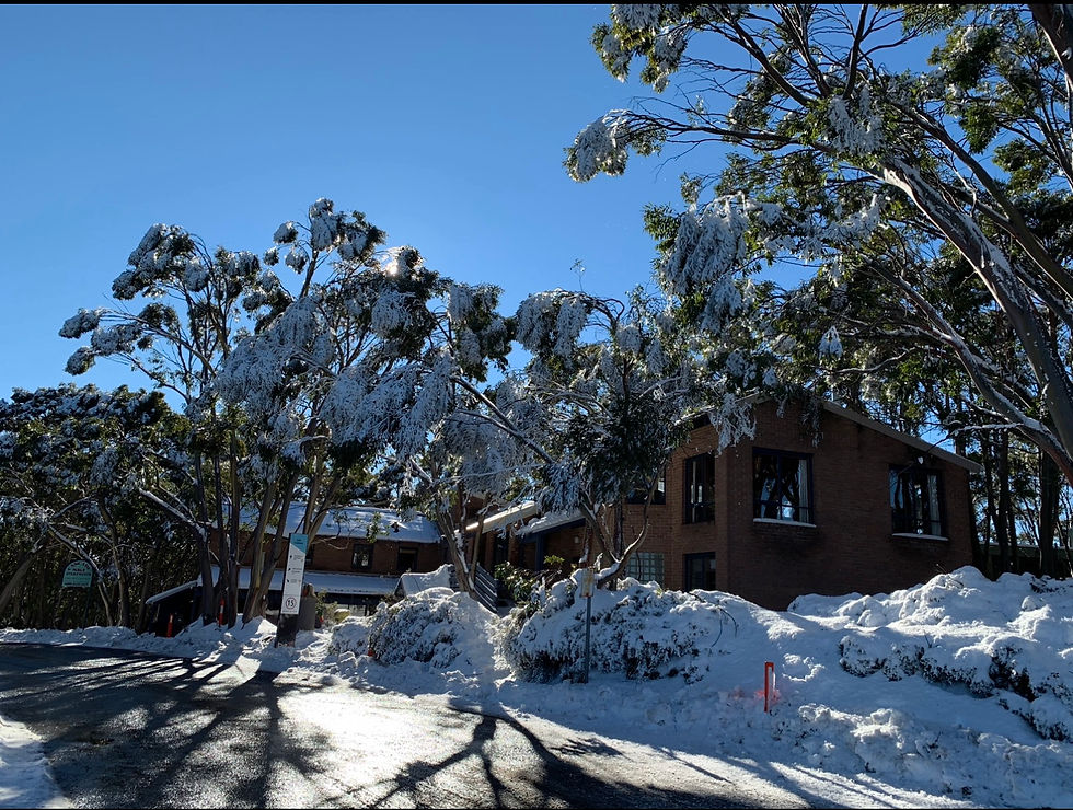 Accomodation | Mount Baw Baw Apartments | Victoria