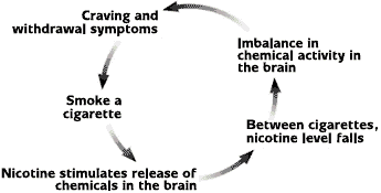 Nicotine Addiction Cycle