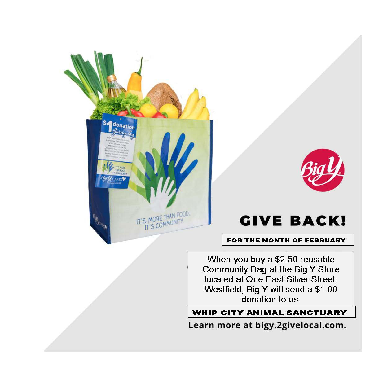 Big Y - Give Back Bags! | Whip City Animal San