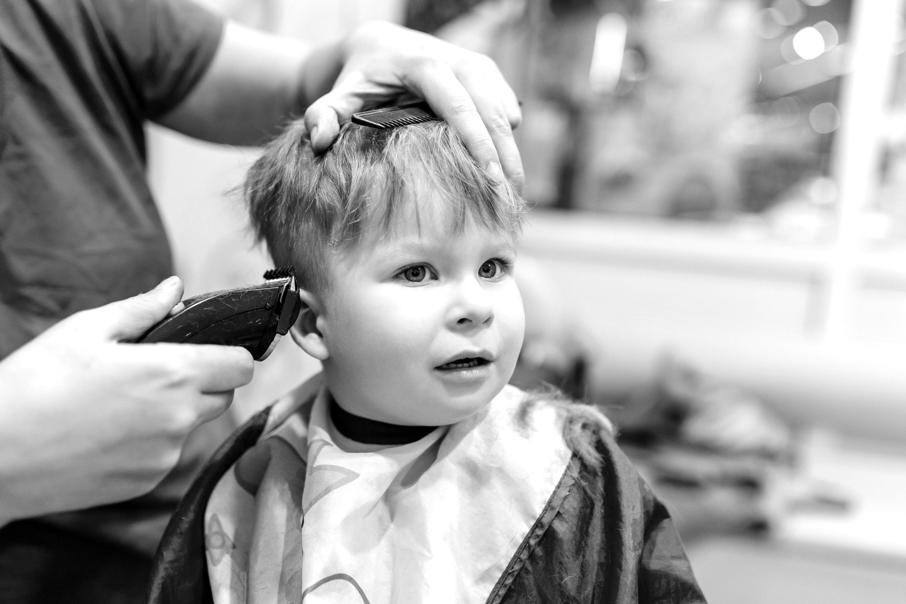 R servation En Ligne Le Pic Barbier R servation En Ligne Le Pic Barbier