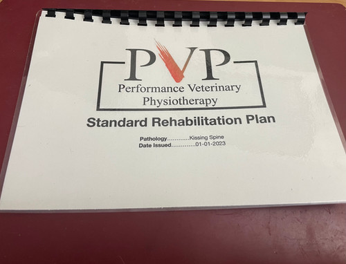 Standard Rehab Plan -Kissing Spine | PVP Vet Physio