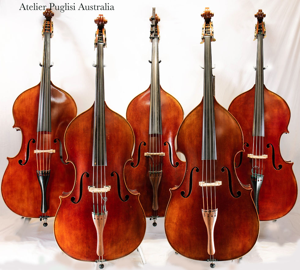 The Jay Haide Double Bass range | Atelier Puglisi