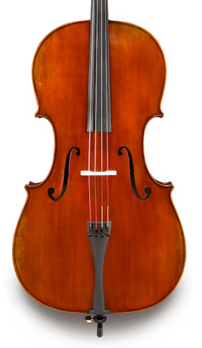 Eastman Albert Nebel VC601, 4/4 Cello | Atelier Puglisi