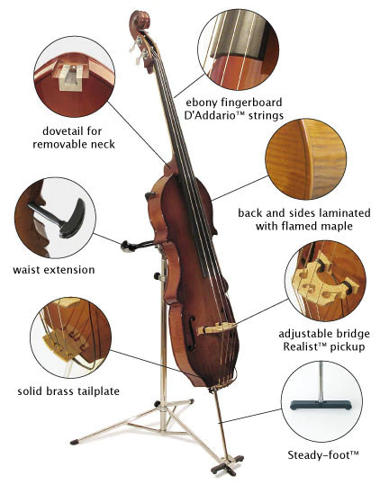 Eminence Acoustic Electric Upright Double Bass | Atelier Puglisi