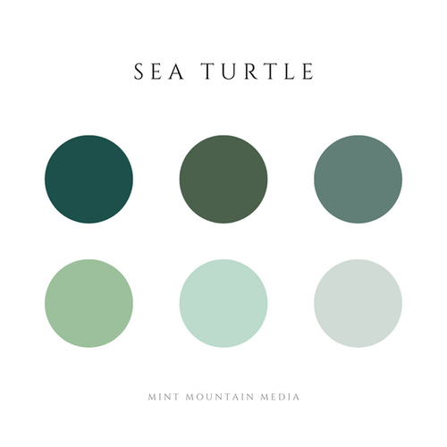 Sea Turtle Color Palette | Mint Mountain Media