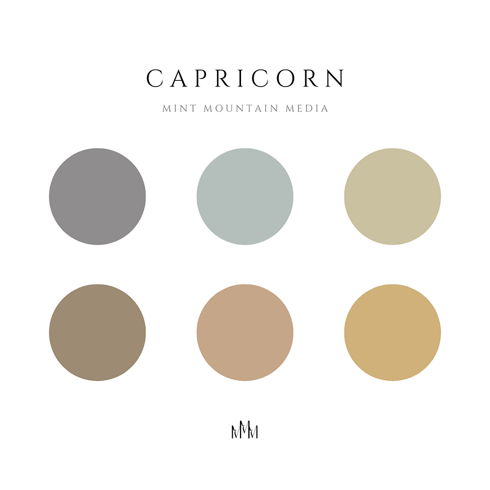 Capricorn Color Palette | Mint Mountain Media
