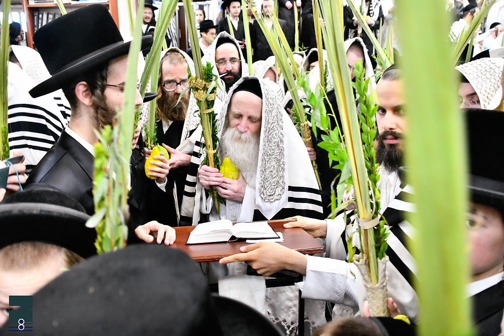 יום טוב סוכות בחצר הקודש תורת חכם | בילדער