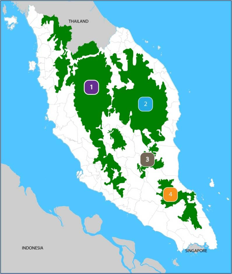 Connecting With Conservation: Central Forest Spine