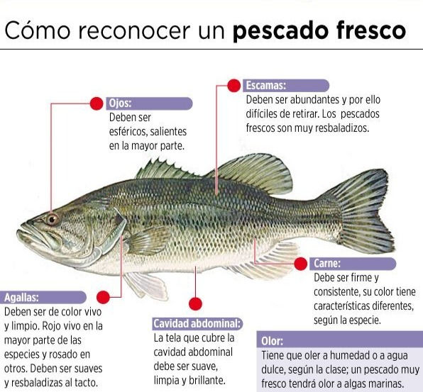 Caracteristicas generales de los pescados
