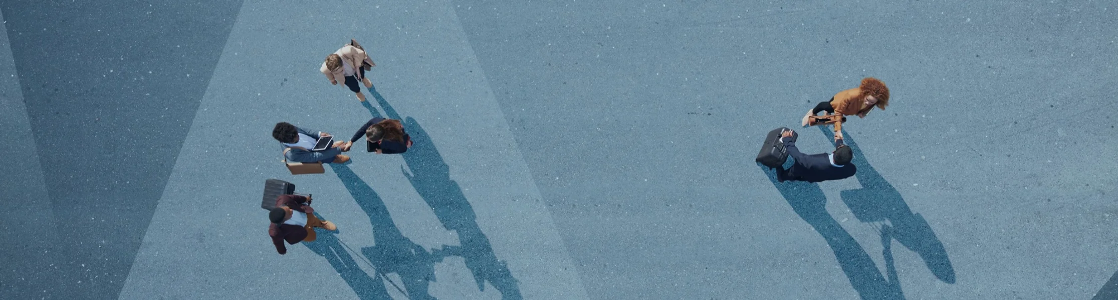 Opvise | L'operating partner augmenté