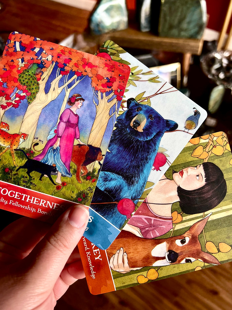 Top 5 Questions about Card Readings answered!