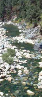 River Rest Resort | RV camping | Yuba River