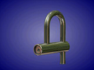 Pro-Loc Cage Lock | Bio Environmental Mo