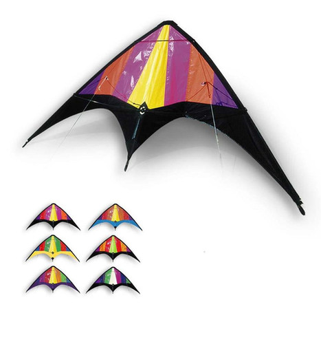 Cerf-volant acrobatique Bisto - Didakites | The Grasshopper