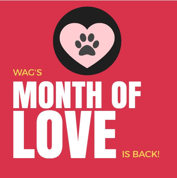 WAG’s Month of Love 2020!