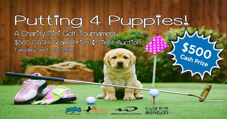 Putting for Puppies!