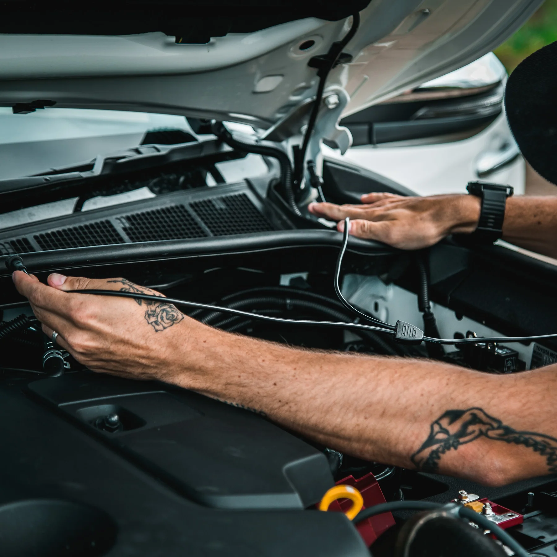 Teralume Industries Splitter Junction X-Range | OC4A