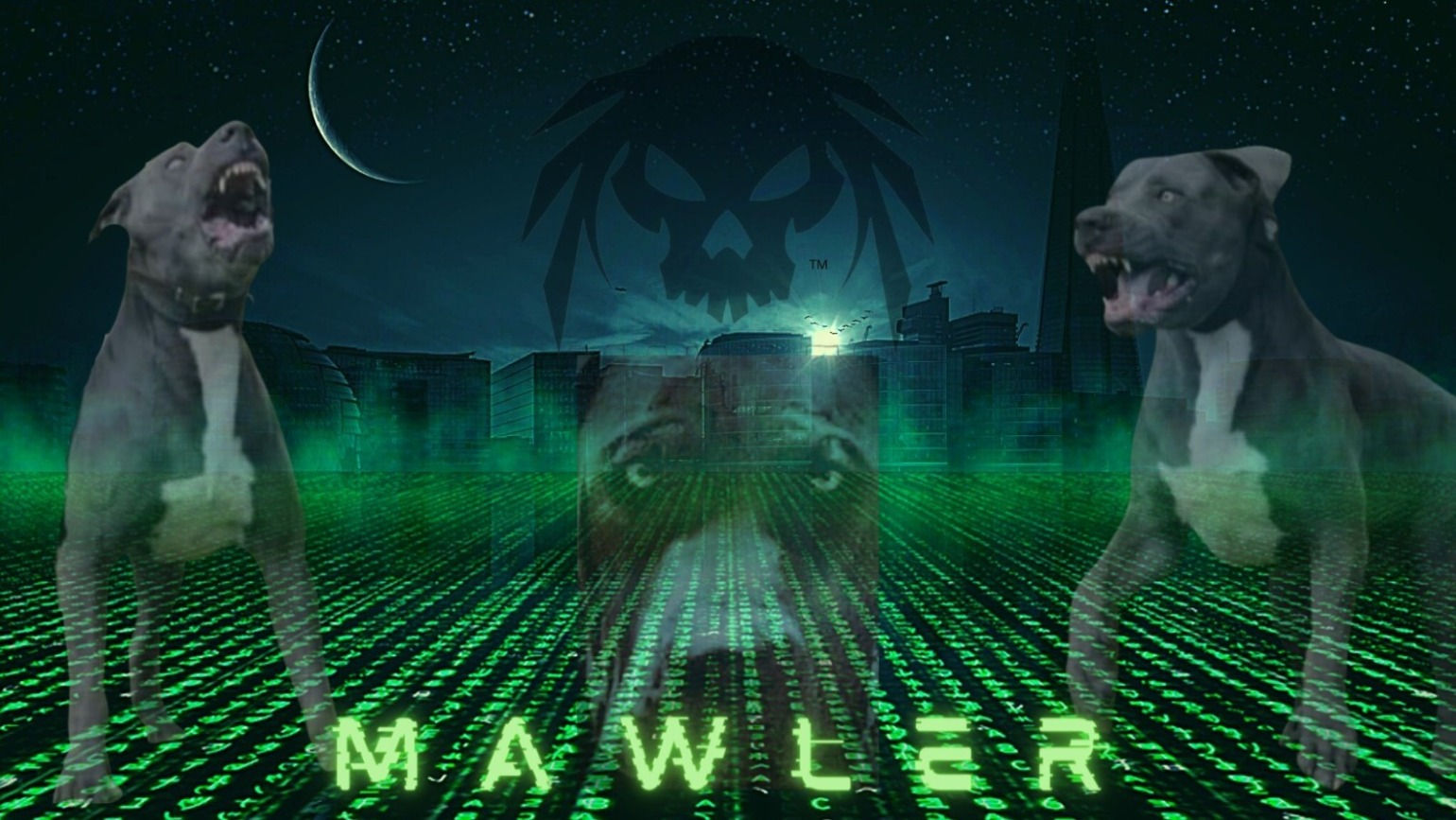 Terms & Conditions | Australian Mawler