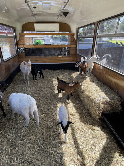 Farm Bus | mylittlefarmfriends