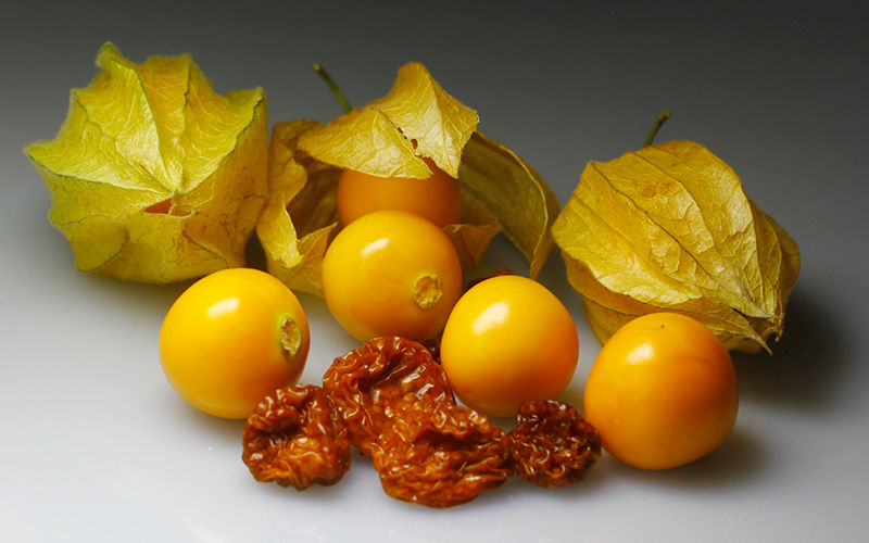 PLAN LOGÍSTICO DE EXPORTACIÓN DE UVILLA DESHIDRATADA