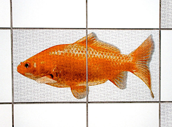 The Tunnel Project | David Smithson