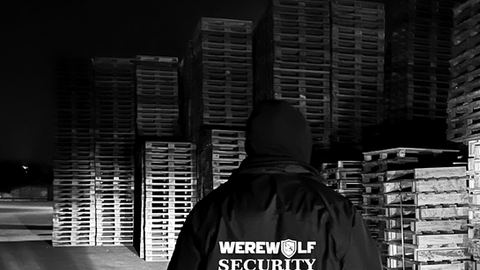 Services | werewolf security