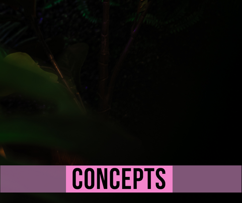 HOME | Savannah Strebor