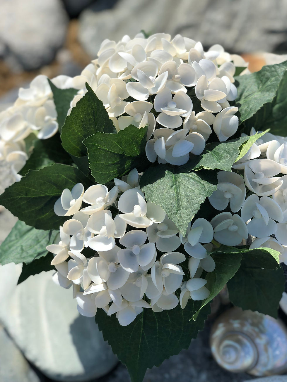 Seashell Hydrangea Arrangement | sib-home
