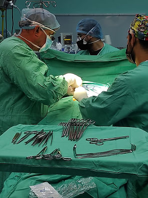 ACTIVIDADES PRESENCIALES | My Site