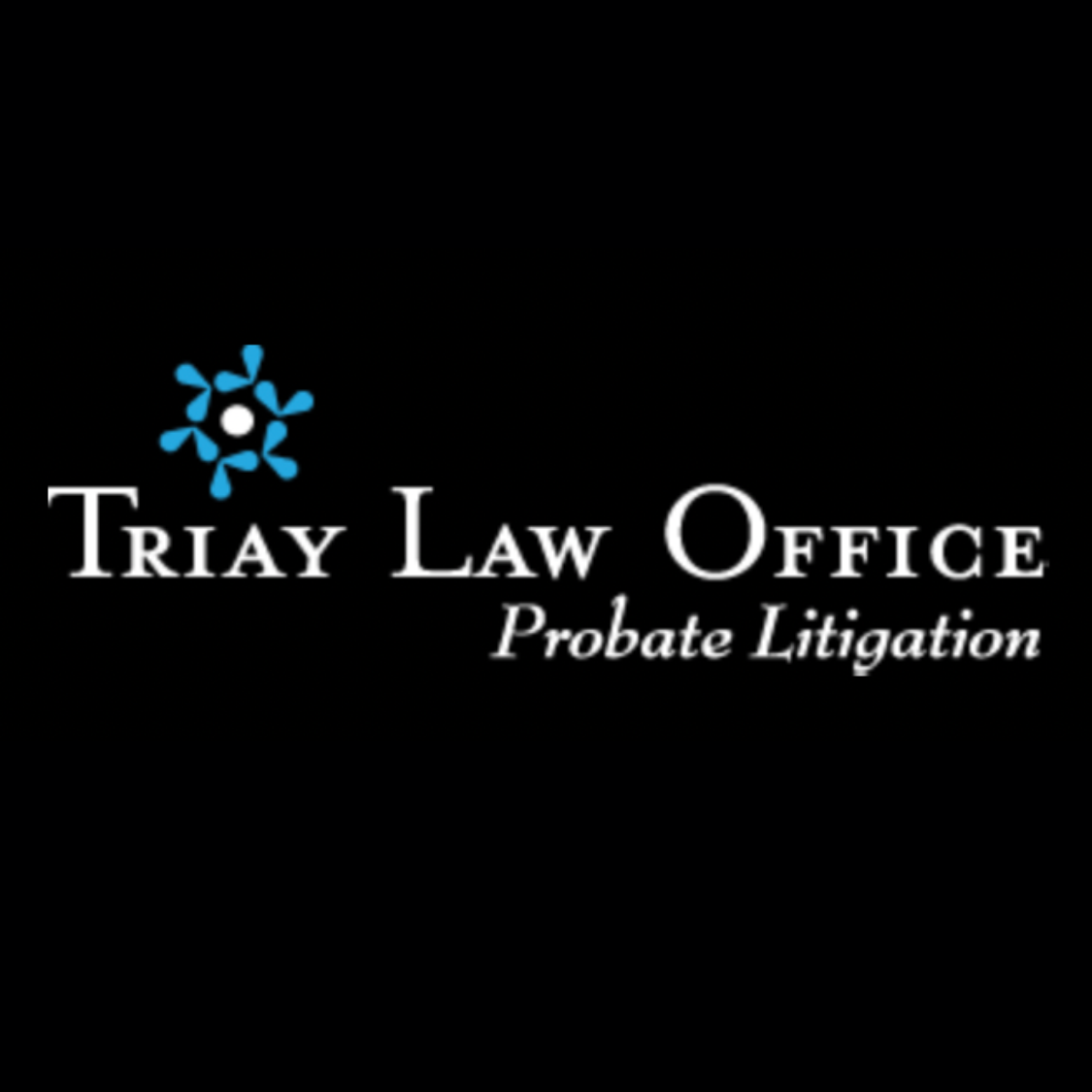 Probate Litigation Attorney Fees: Contingency or Hourly Options