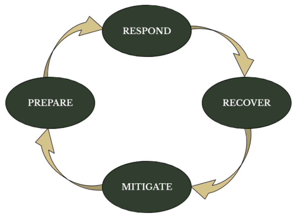 Mitigating Crisis in Business: Lessons from the Field