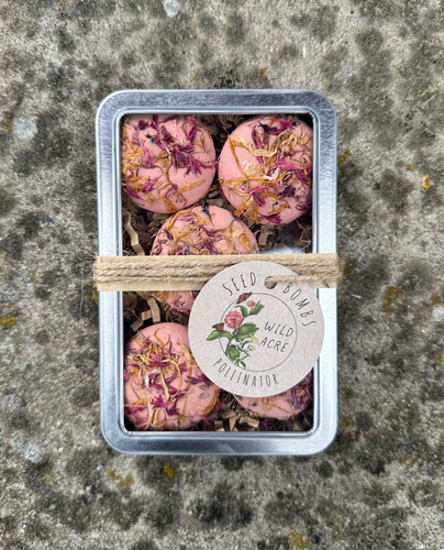 Pollinator Seed Bombs | Wildacreoh.com