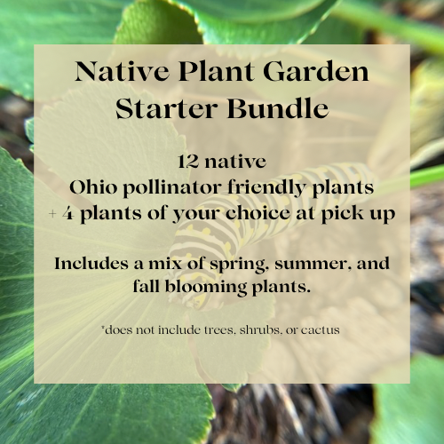 Native Plant Garden Starter Bundle | Wildacreoh.com