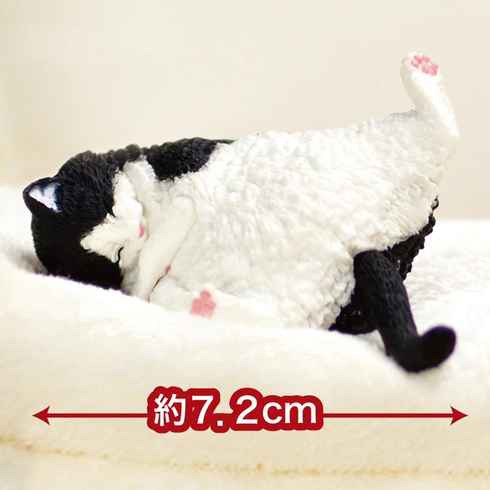 Sleeping Cats Blind Box | MOOII Australia