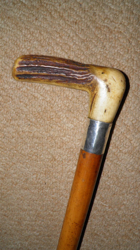 Antique Walking Stick / Cane - Hallmarked 1880 Silver Collar & Antler ...