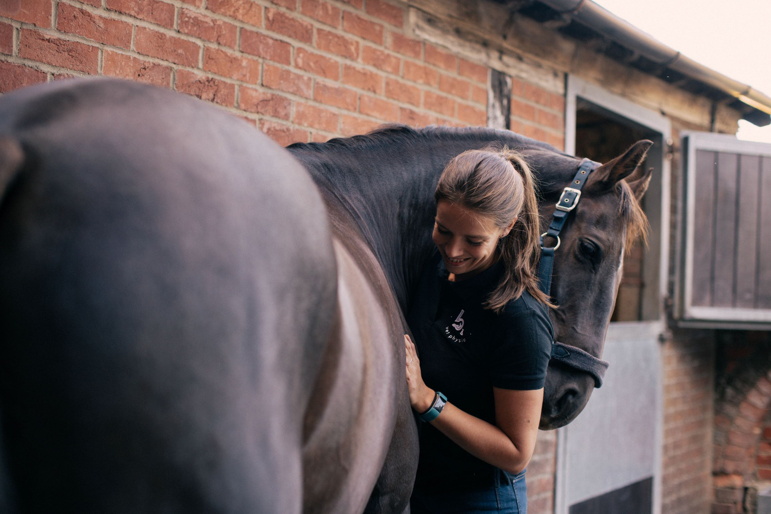 Equine Physio | Becca Vet Physio