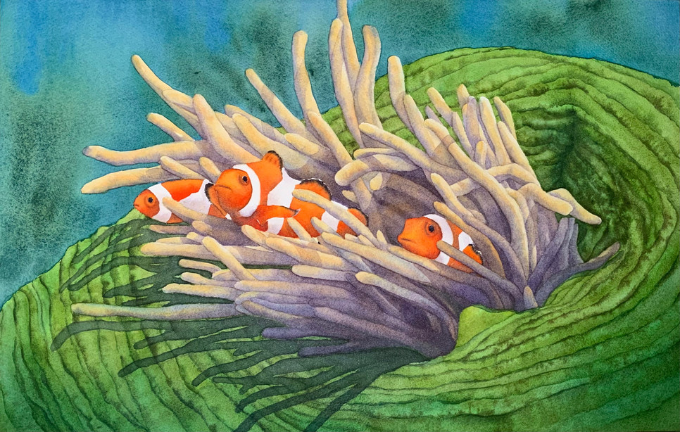 Paintings | Watercolour