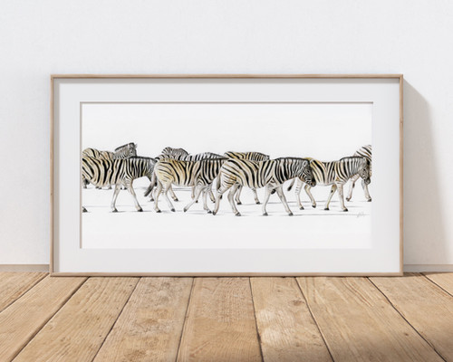 ‘Zebra Crossing’ print | lauramaryart