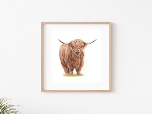 ‘Hamish’ original drawing | lauramaryart