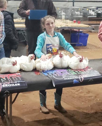 Nolan County Coliseum | Sweetwater