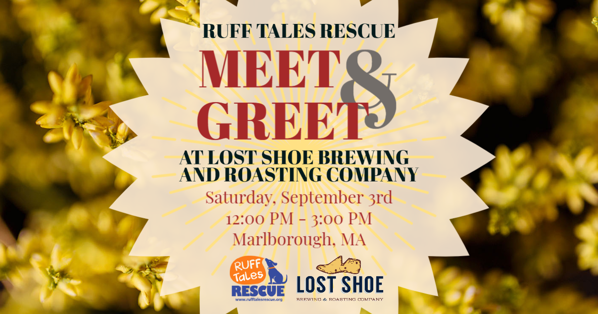 Meet & Greet and Info Session | Ruff Tales Rescue