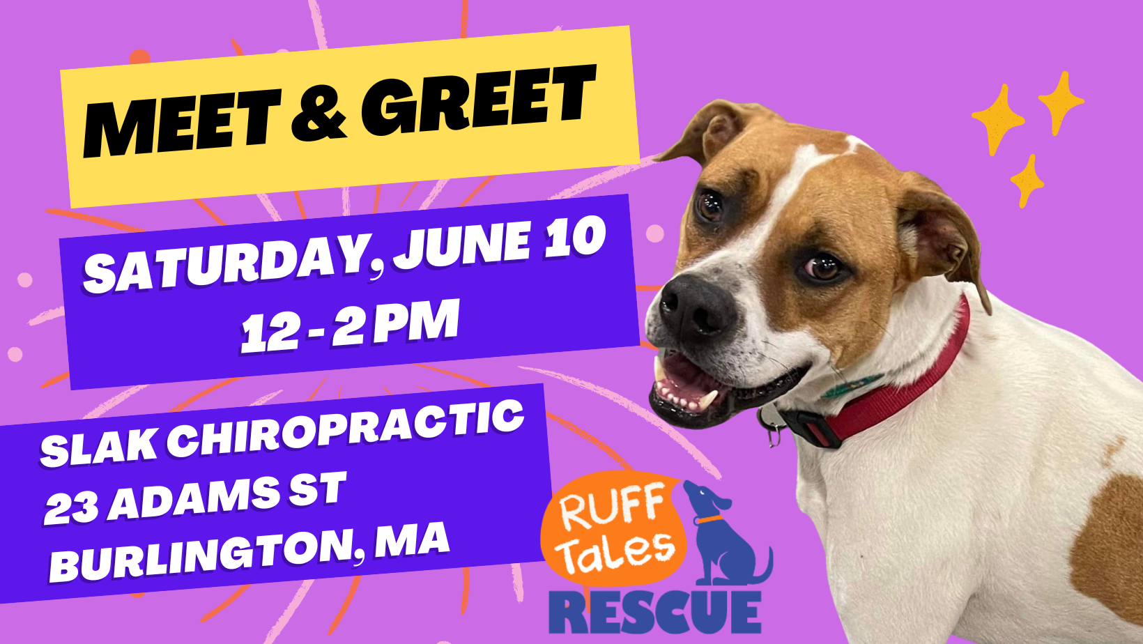 Meet & Greet - Burlington, MA | Ruff Tales Rescue