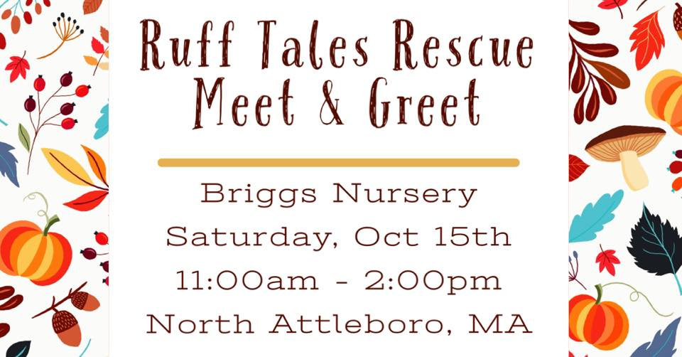 Meet & Greet | Ruff Tales Rescue