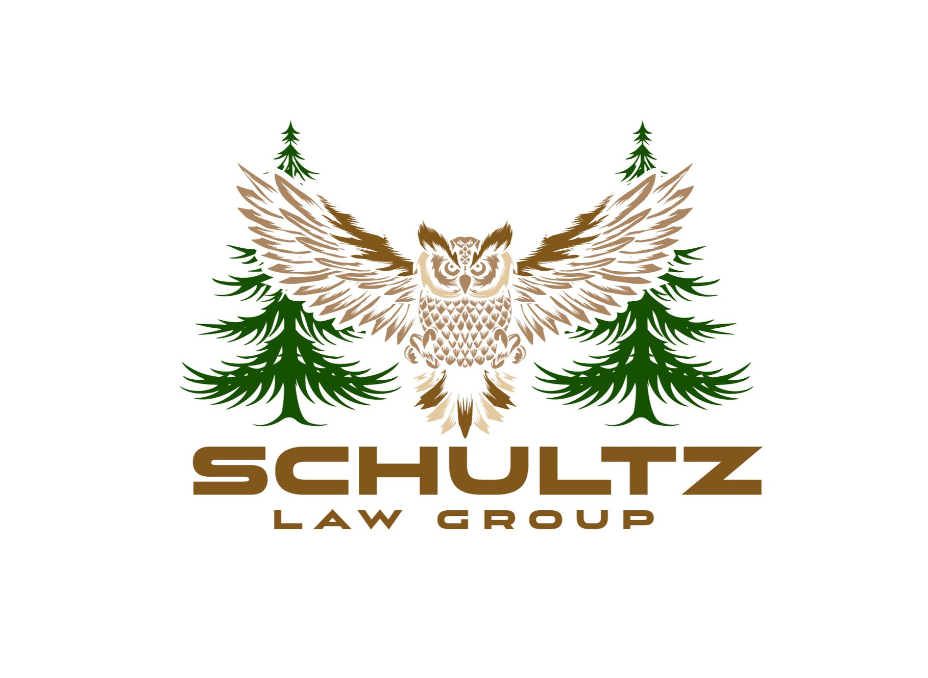 Our Team | Schultz Law Group
